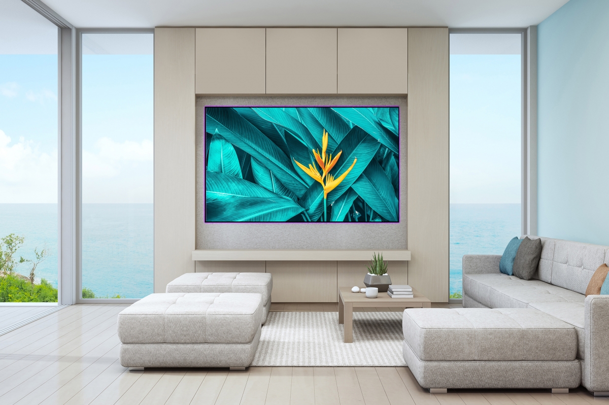 Aurora 8K EVO Ambient Light Rejection NanoEdge - Elunevision